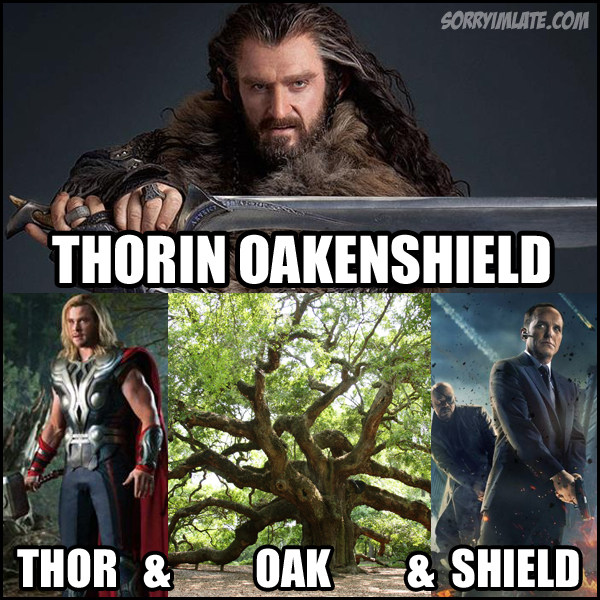 Meme De Thorin Sudden Change Of Heart Thorin